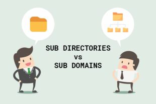 Subdomains vs Subdirectories - Which are better for SEO? - BizWisdom